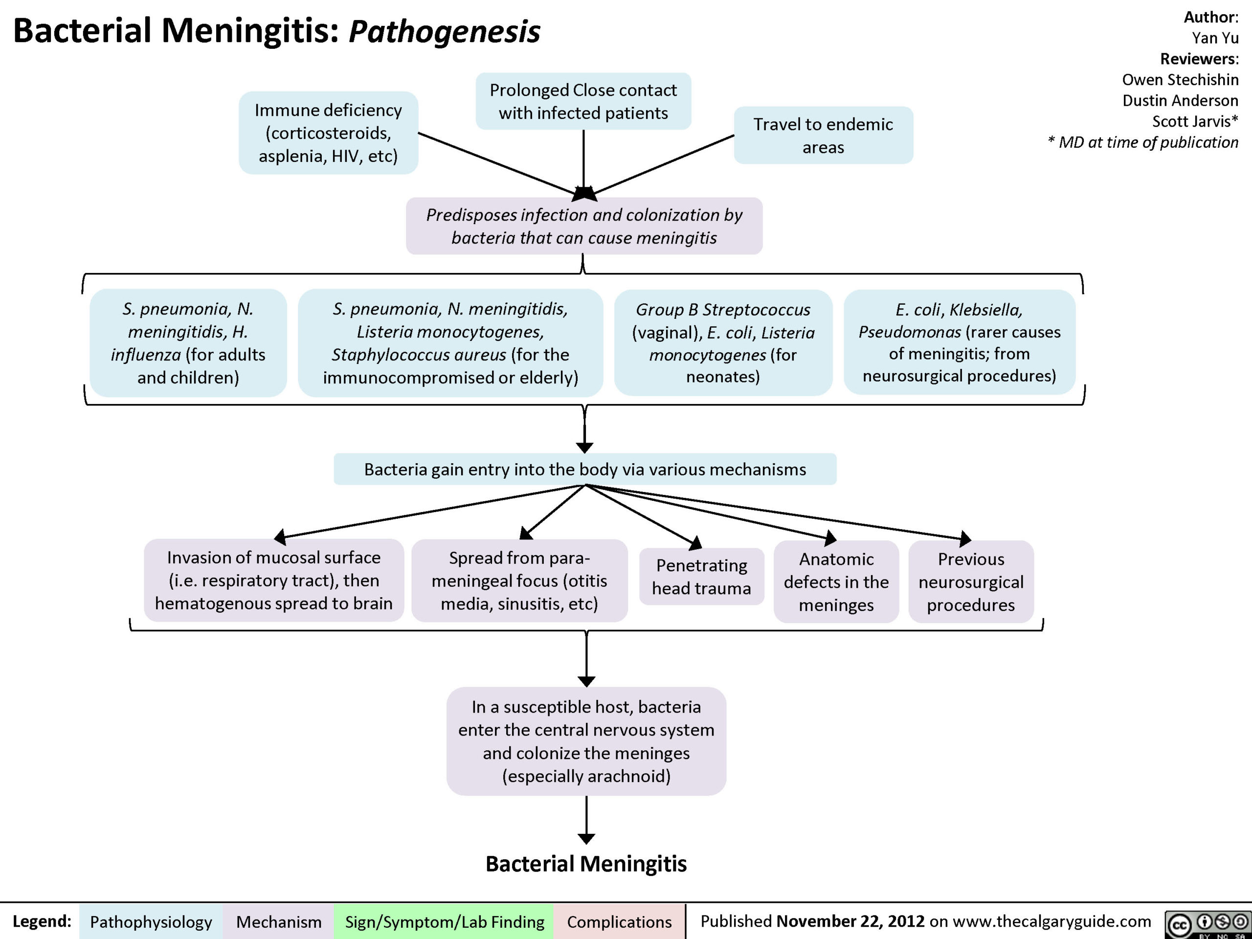 Meningitis Pathophysiology Clinical Manifestations And Nursing Care